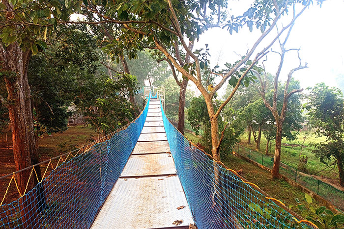 :: Similipal Tiger Reserve